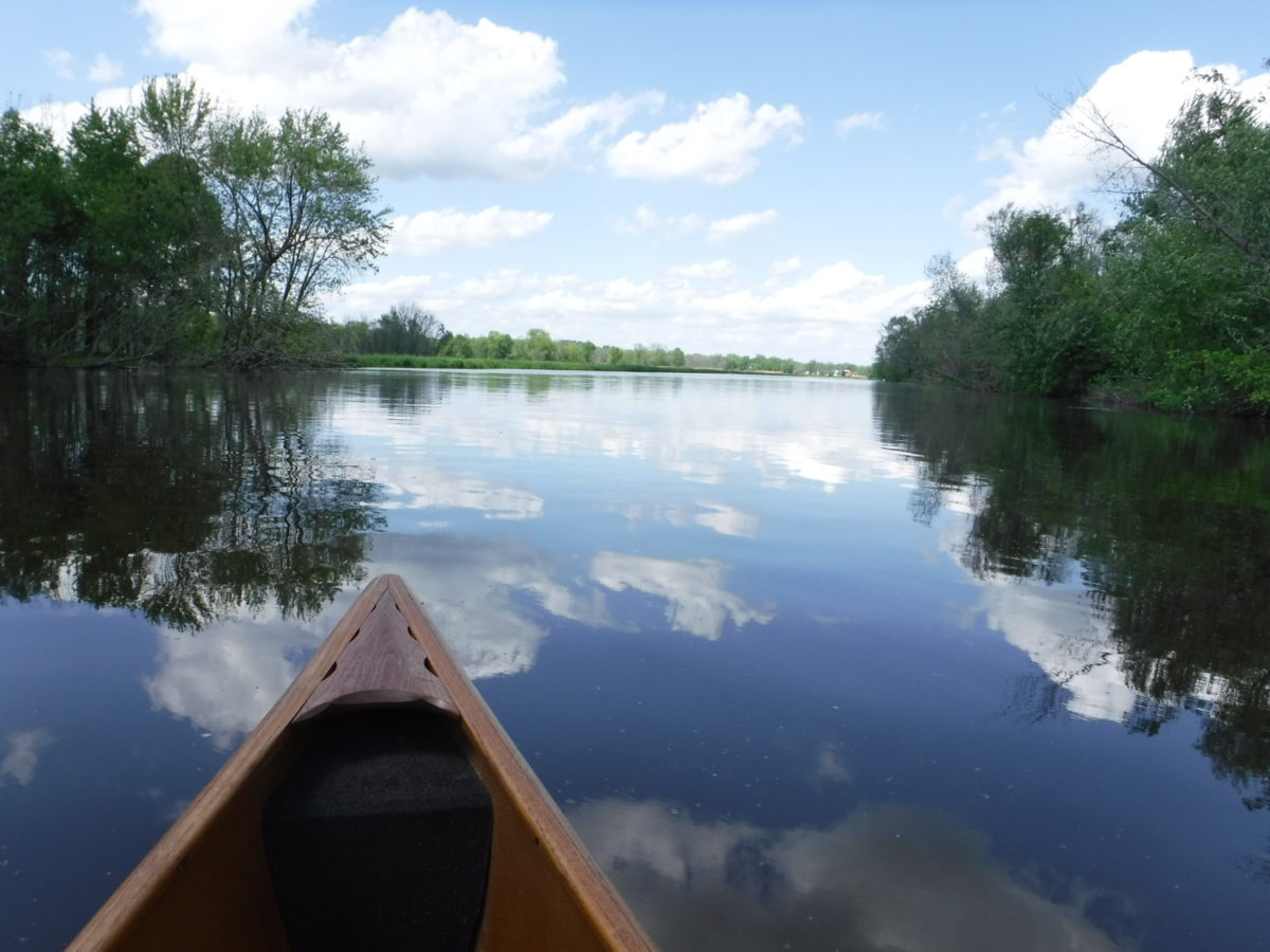 Wick's Landing to Old St Marie Road - Quiet Paddling Wisconsin