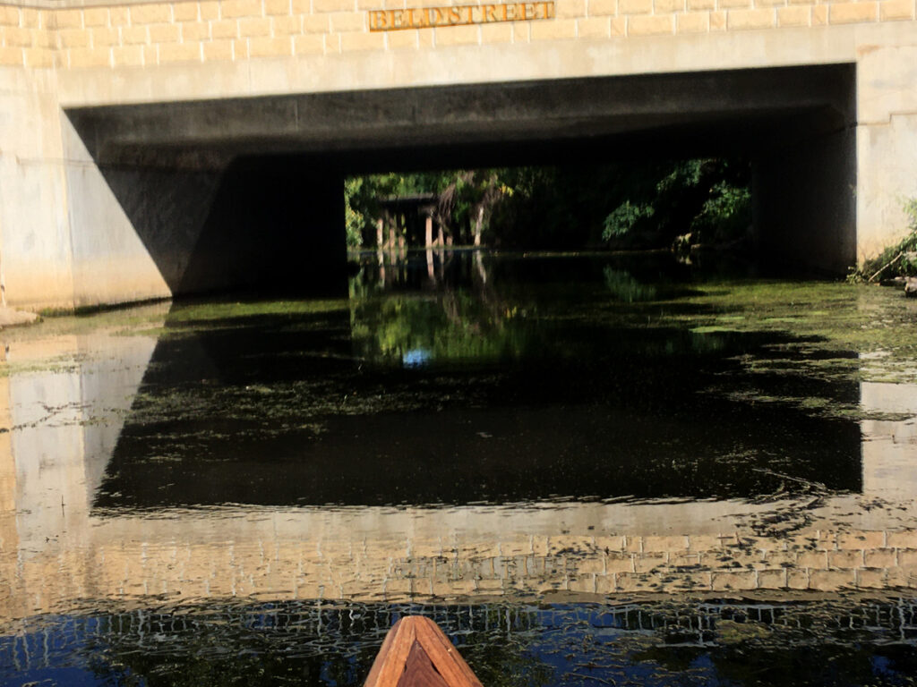 Wingra Creek - A Nice Paddle Despite the Duckweed - Quiet Paddling ...