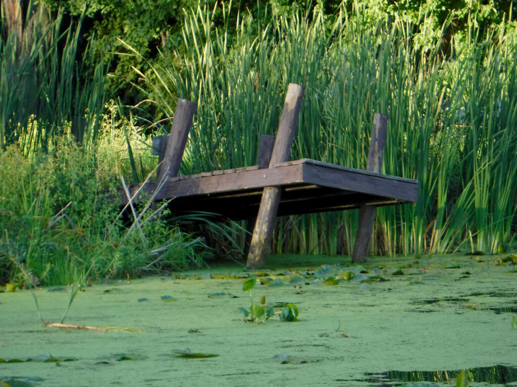 Cherokee Marsh residential tour - farther than ever - Quiet Paddling ...
