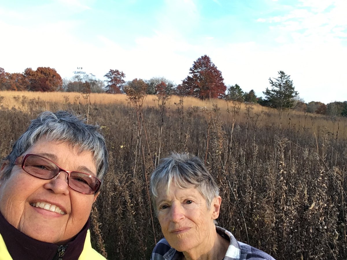 Recon: CamRock Park - Koshkonong Creek - Quiet Paddling Wisconsin